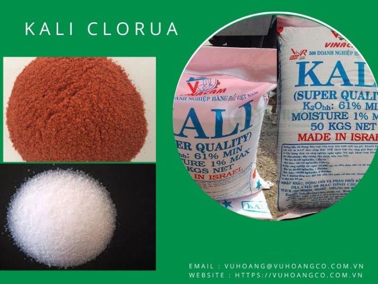 Muối Kali clorua và những điều cần biết về KCl? – Công ty TNHH Công ...