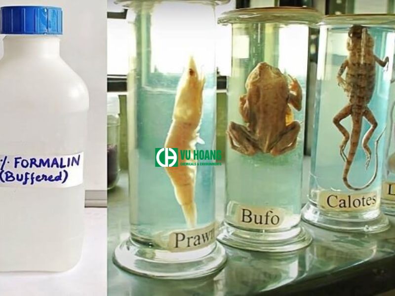 Hóa chất Formalin 37% – Formol ( HCHO ) – Công ty TNHH Công nghệ Hóa ...