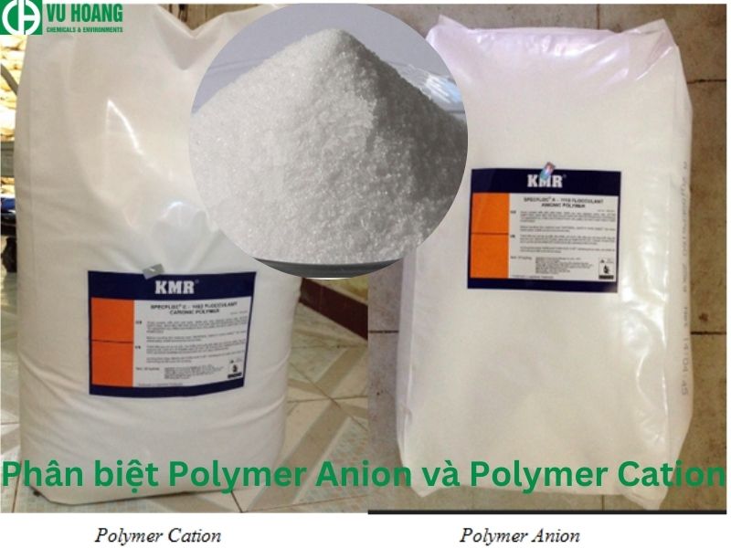 Polymer anion là gì ? Ứng dụng của polymer anion và polymer cation ...