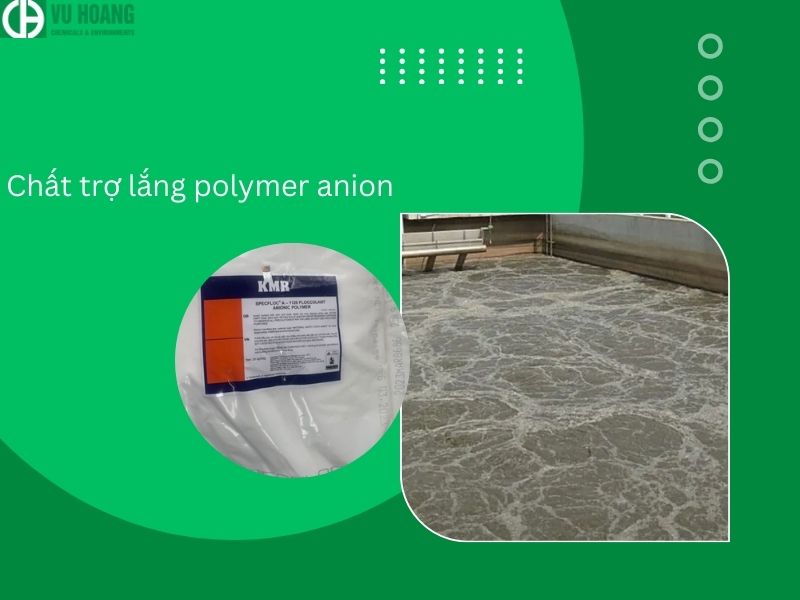 Polymer Cation Và Polymer Anion Trong Xử Lý Nước Thải – Công ty TNHH ...
