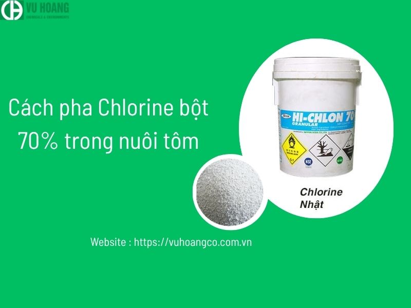 Cách pha Chlorine bột 70% trong nuôi tôm – Công ty TNHH Công nghệ Hóa ...