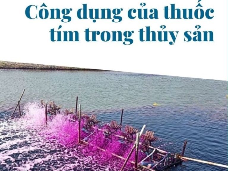 Thuốc tím Trung Quốc KMnO4 Potassium permanganate – Công ty TNHH Công ...